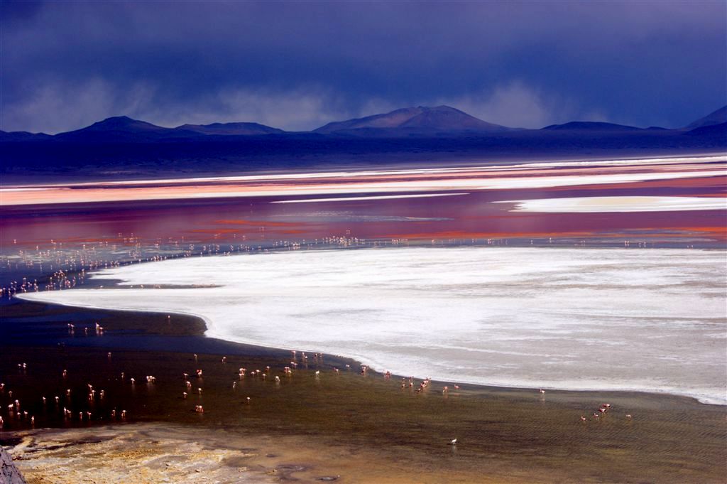 Laguna Colorada Bolívie
