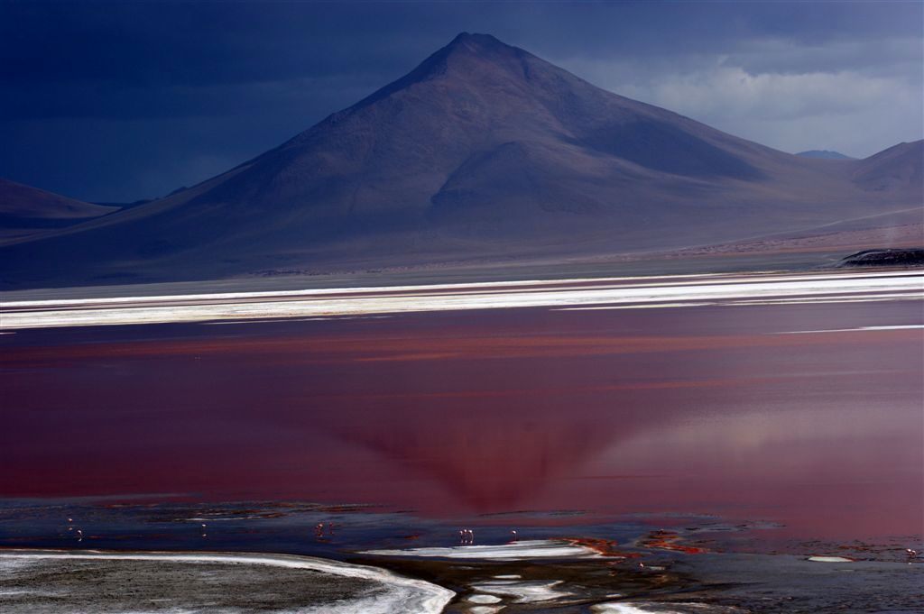 Laguna Colorada Bolívie