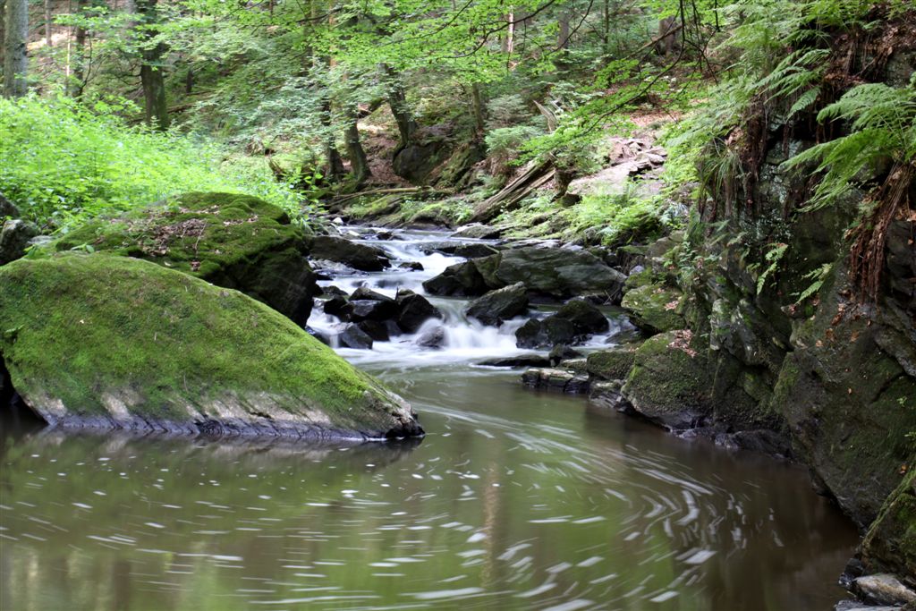 Údolí řeky Doubravy | Kam se vydat.cz