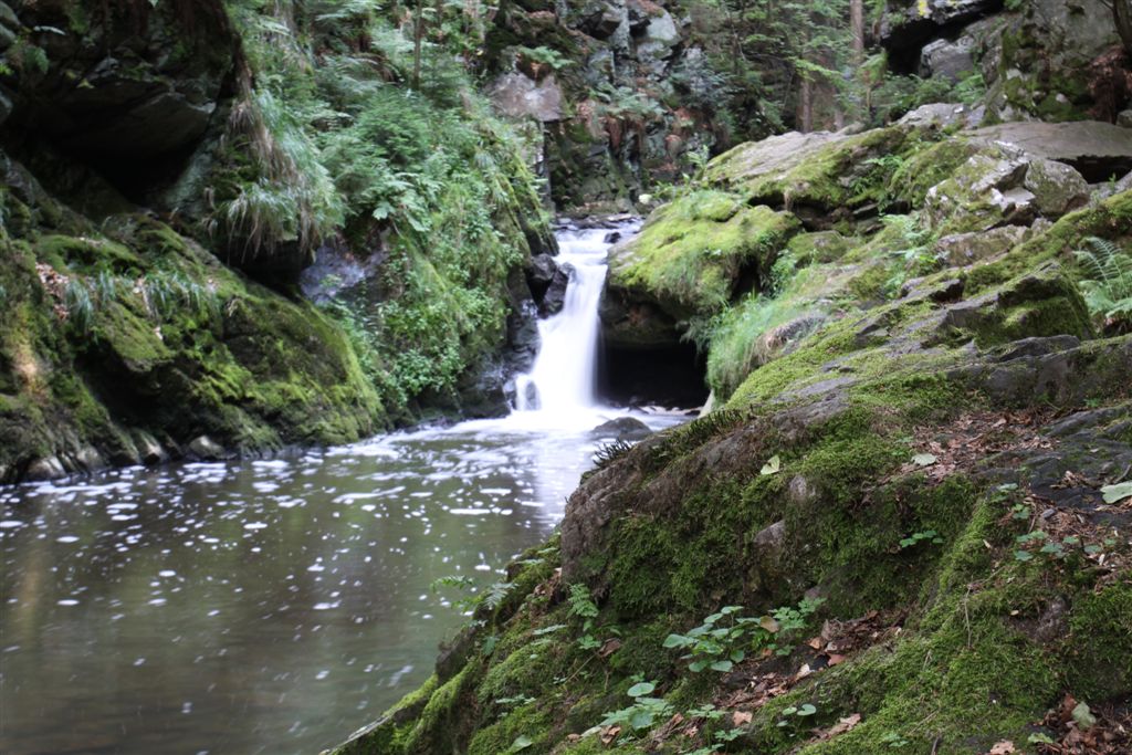 Údolí řeky Doubravy | Kam se vydat.cz