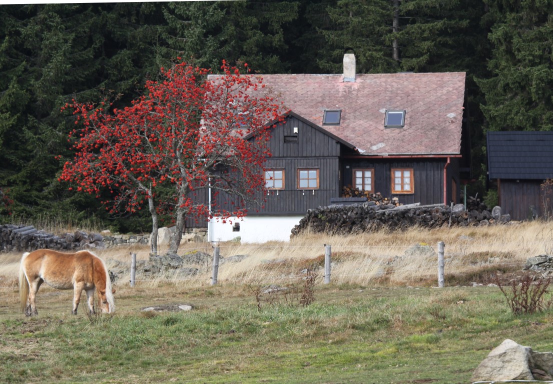 Filipova huť na Šumavě