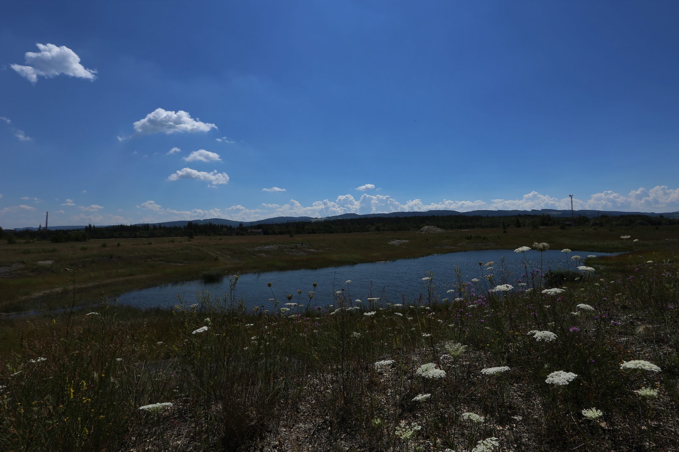 Jezero Medard | Kam se vydat.cz