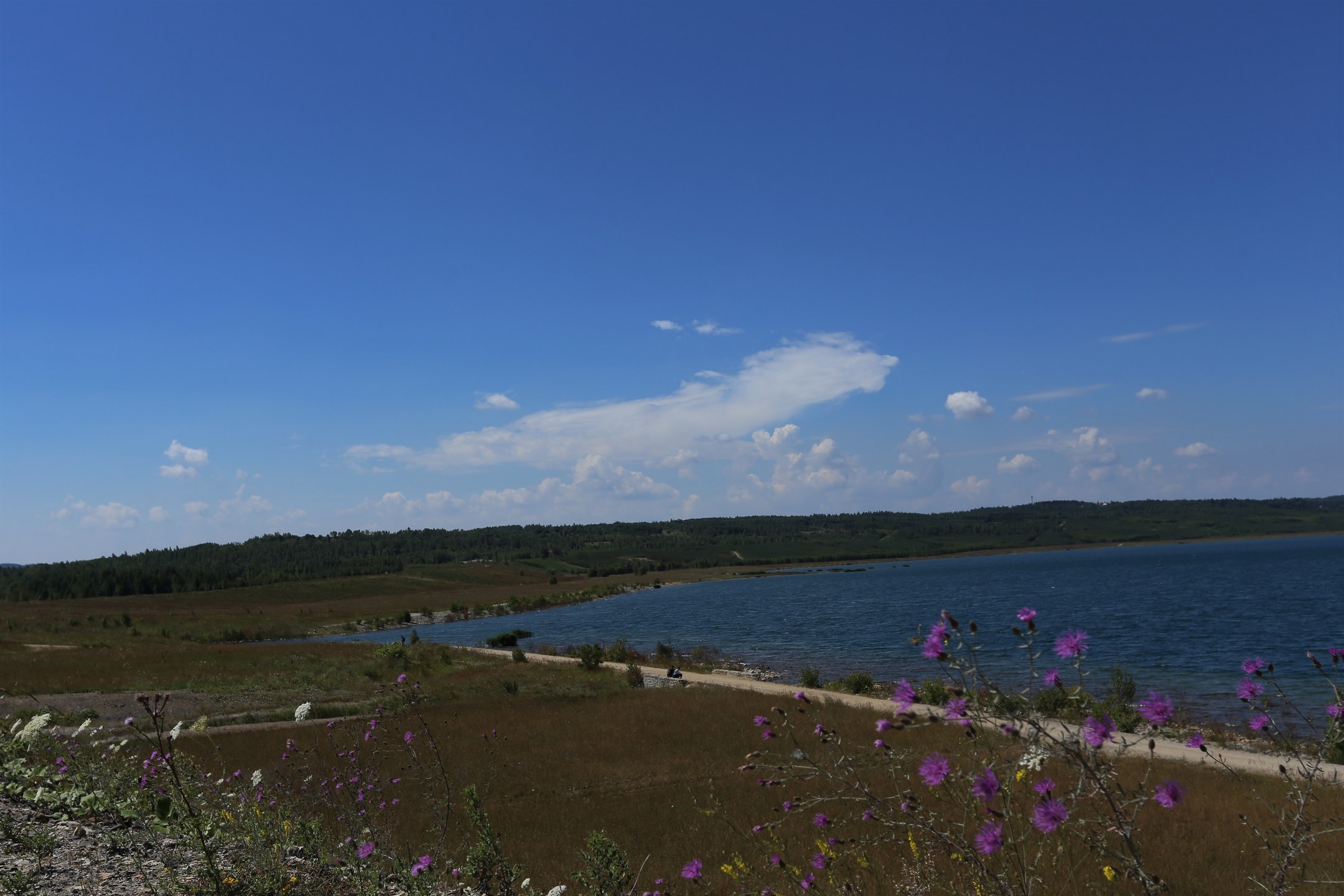 Jezero Medard | Kam se vydat.cz