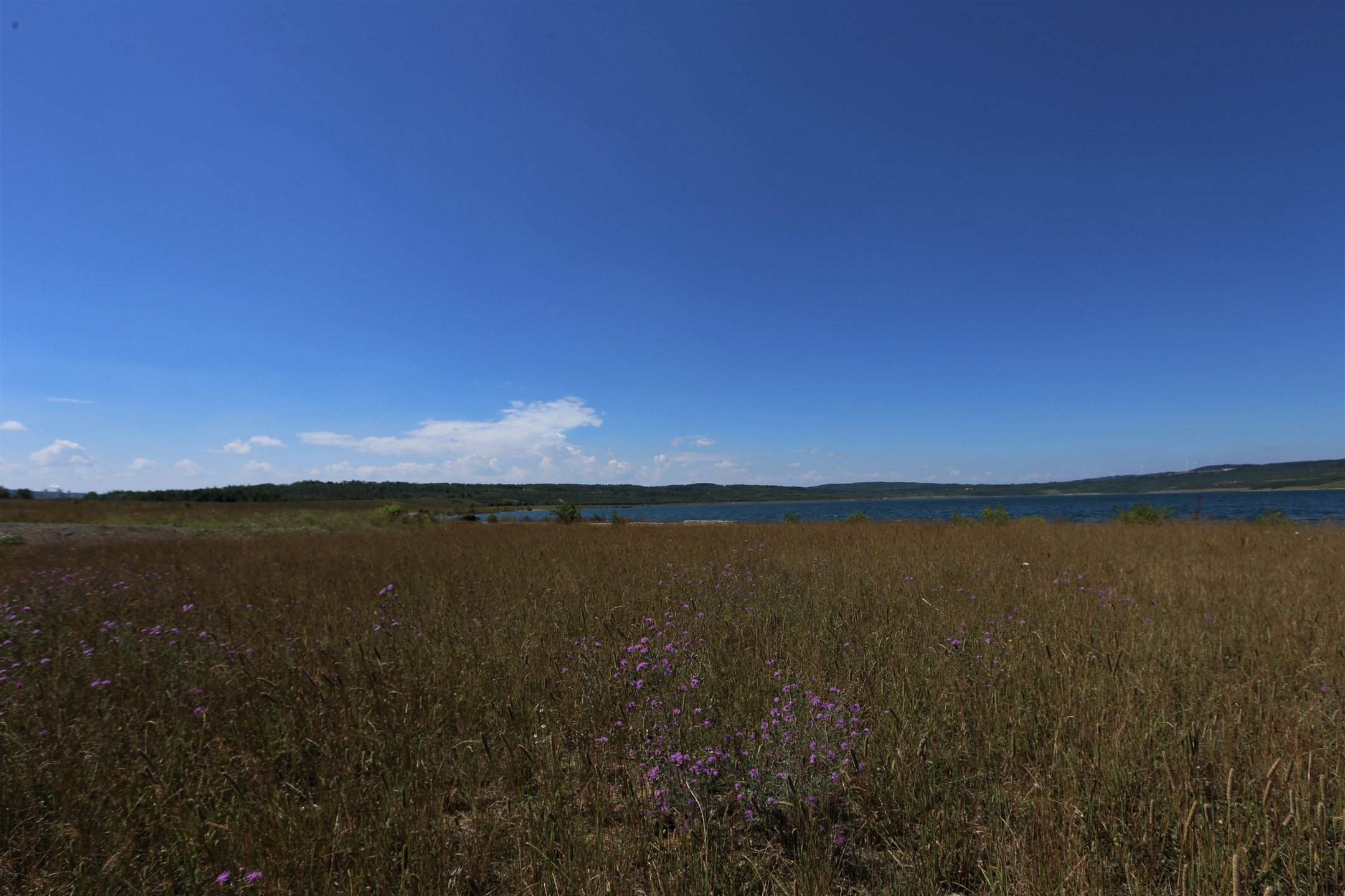 Jezero Medard | Kam se vydat.cz