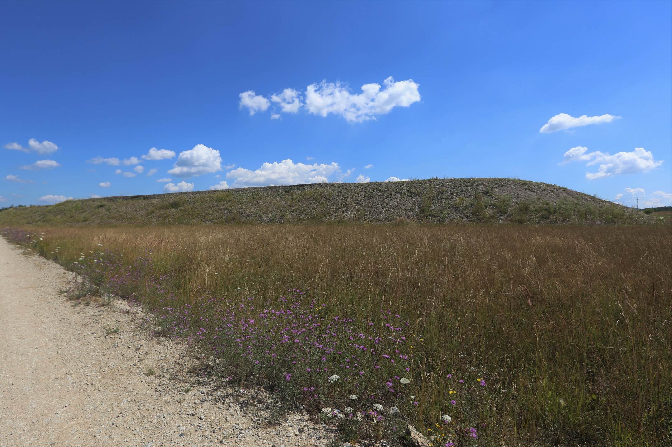 Jezero Medard | Kam se vydat.cz