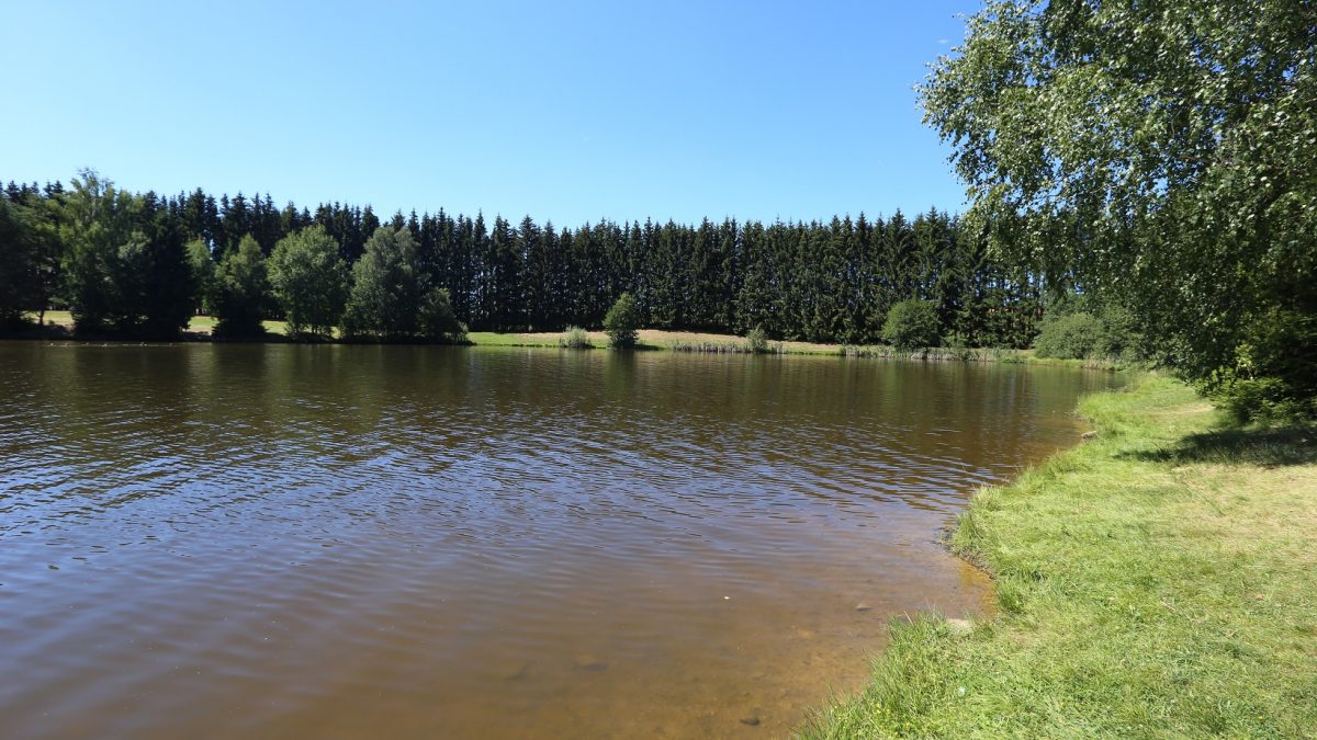 Rybník Chochol (Svratouch) | Kam se vydat.cz