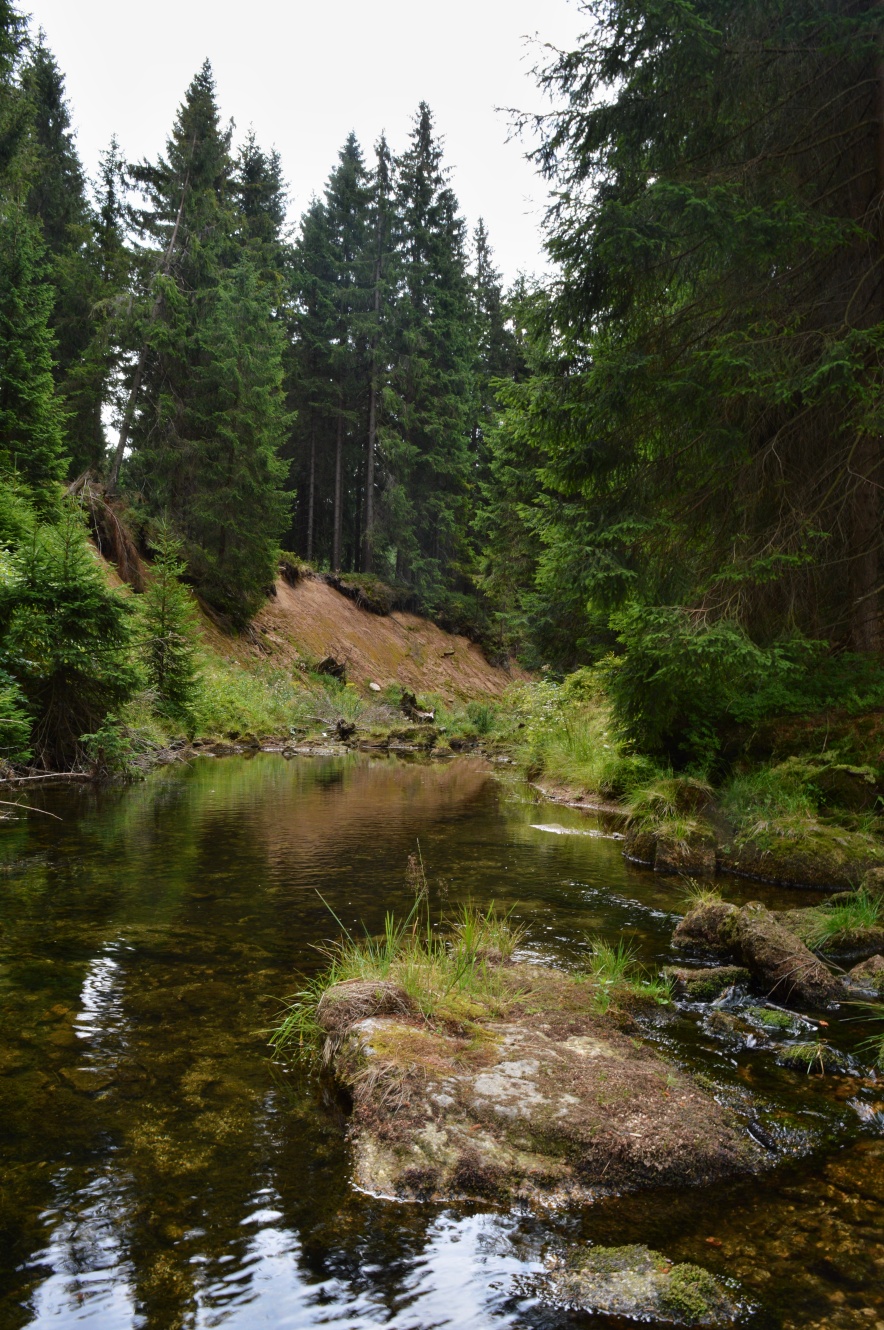 Protržená přehrada | Kam se vydat.cz
