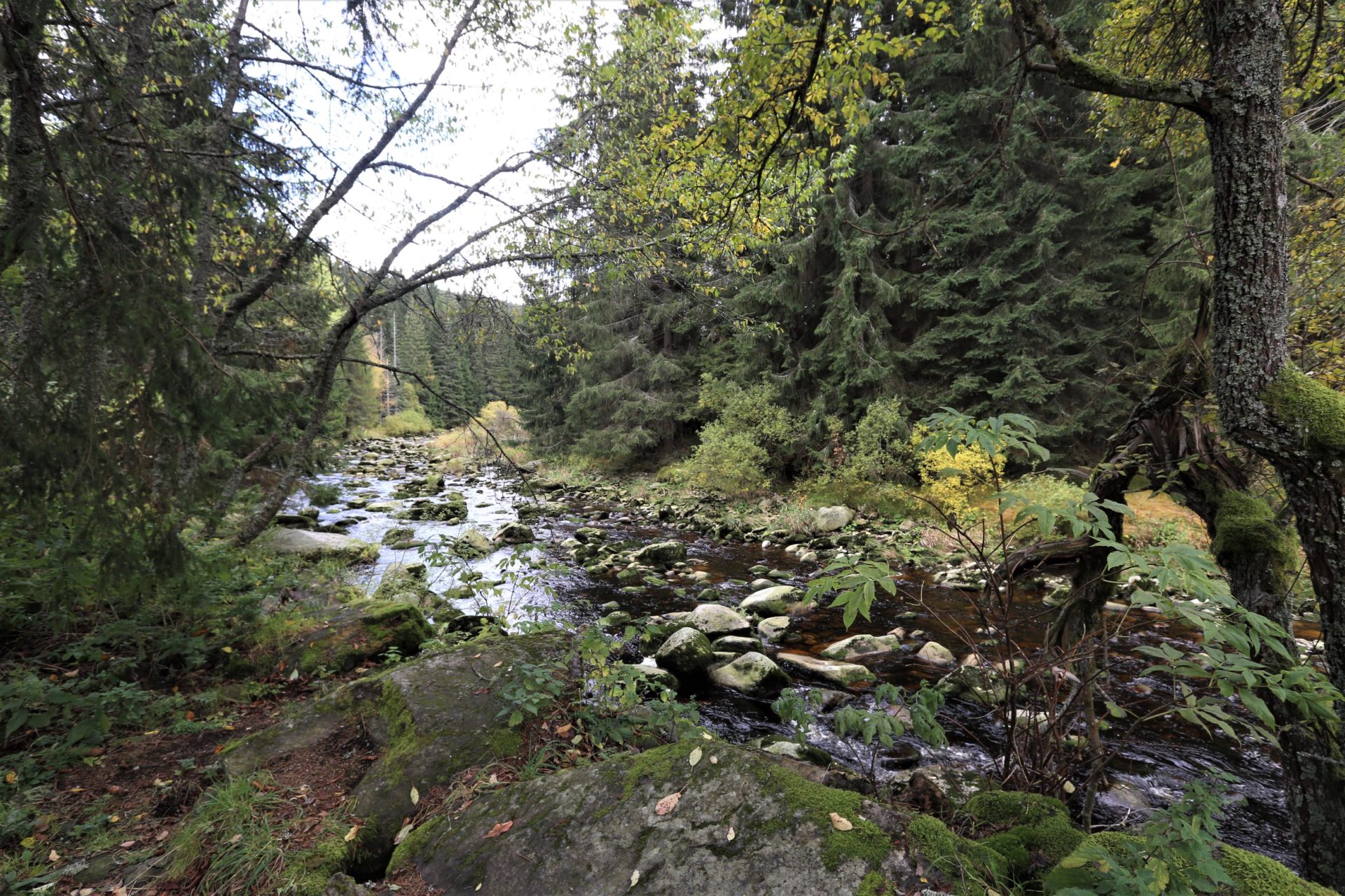 Výlet na Šumavu 6 - Antýgl | Kam se vydat.cz