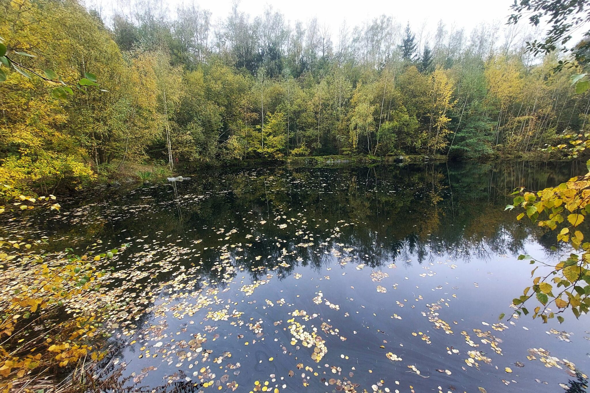 Lom Starý Klíčov u Mrákova | Kam se vydat.cz
